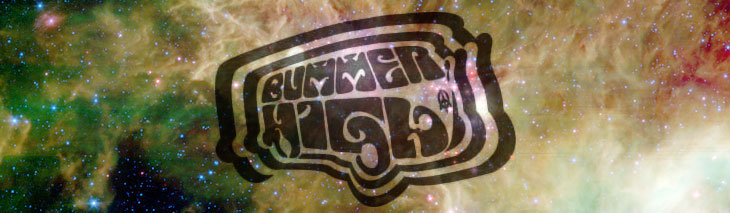 Bummer High Skateboards - Warehouse Skateboards