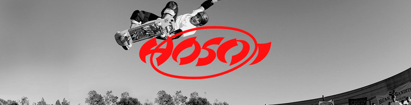 Hosoi Skateboards - Warehouse Skateboards