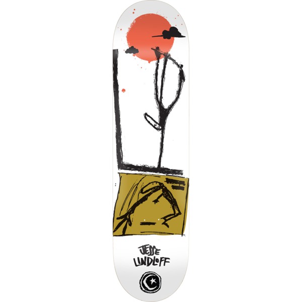 Foundation Skateboard Decks - Warehouse Skateboards